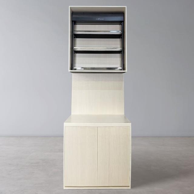 Buy Motorized Pull Down Elevator Dish Rack for You Kitchen | Invis ...